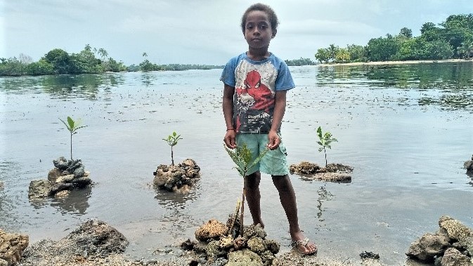 Children plant mangrove trees to address climate change | Papua New ...
