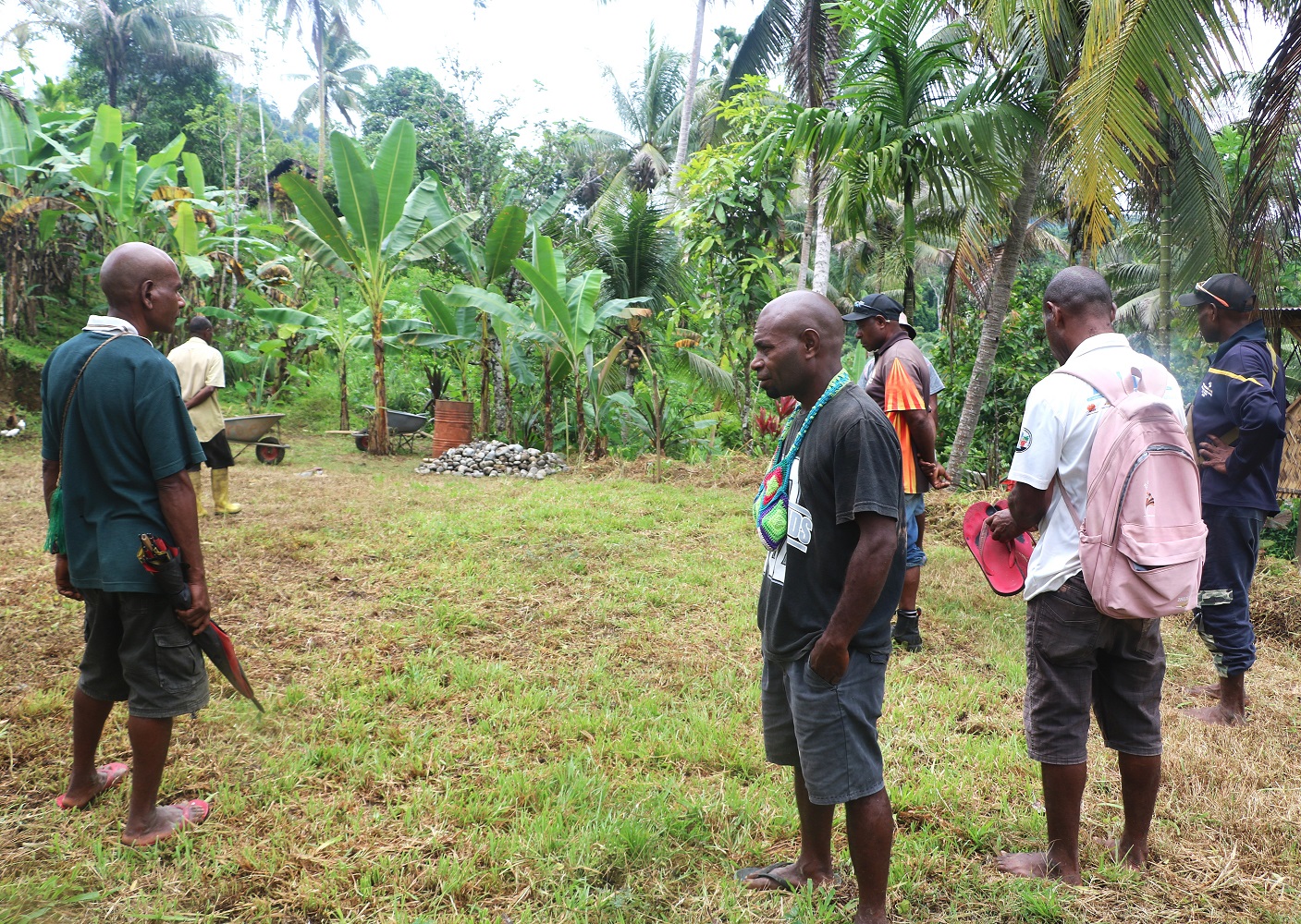 Prosperity Through Sustainable Climate Smart and Inclusive Cocoa Family ...