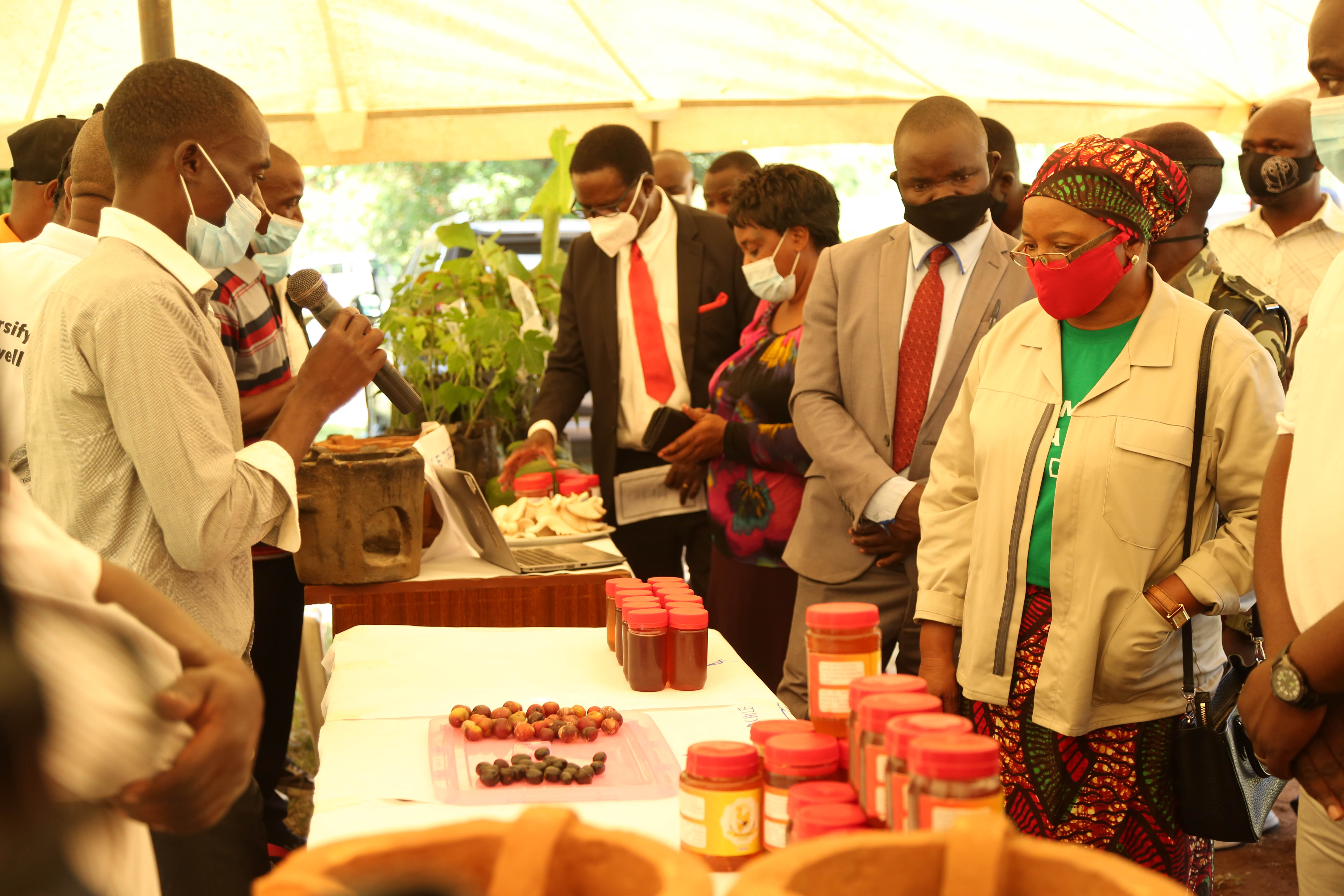 Malawi government hails World Vision’s FMNR | World Vision International