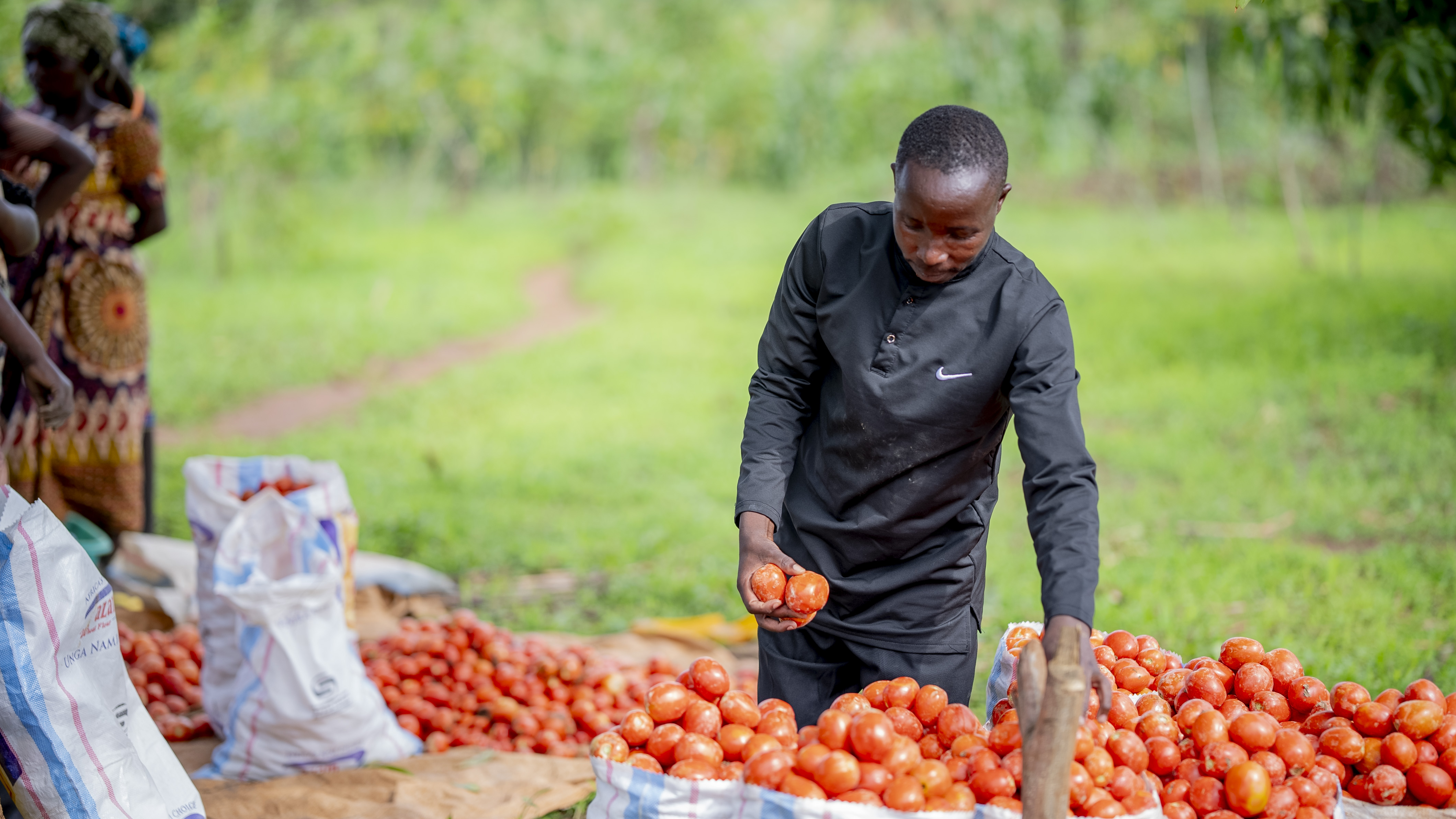 The Son of World Vision: Cultivating Dreams and Tree Tomatoes | Rwanda ...