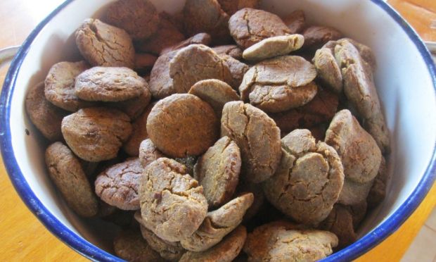 Moringa Improves Livelihoods and Nutrition in Niger | World Vision ...