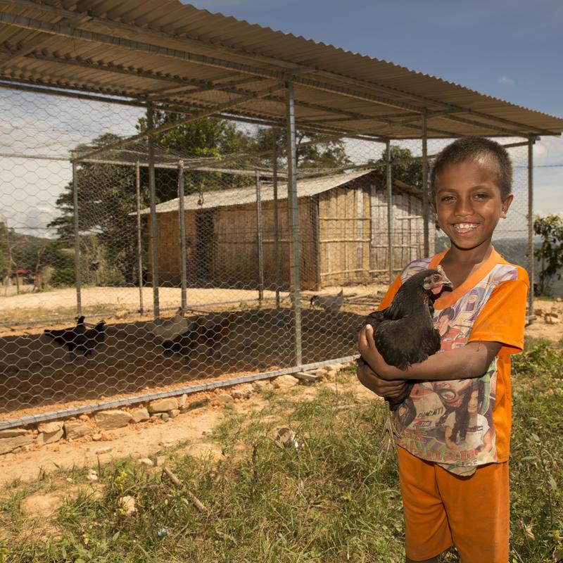 Timor–Leste | Field Office | World Vision International