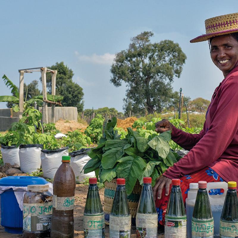 Special Projects | Sri Lanka | World Vision International