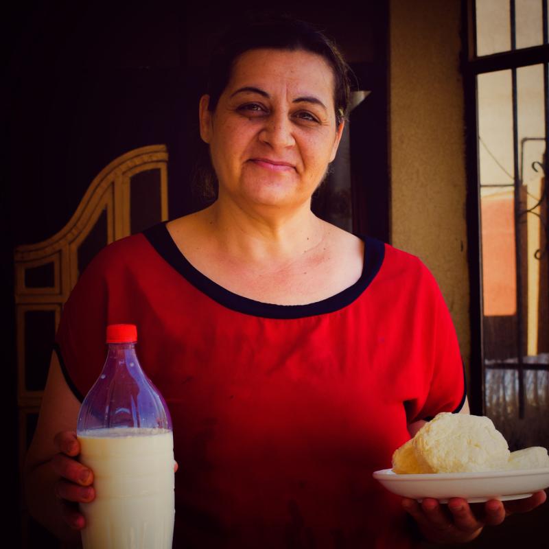 Safe Returns Project – Ninewa | World Vision International