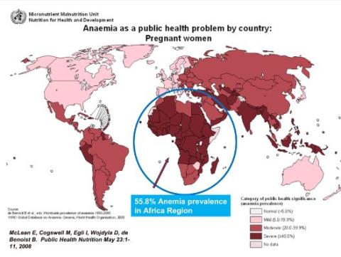Addressing Anaemia | World Vision International