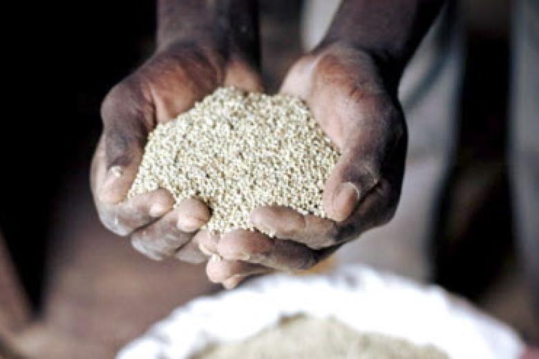 Grain Banks of Diokoul: World Vision promotes household resilience ...