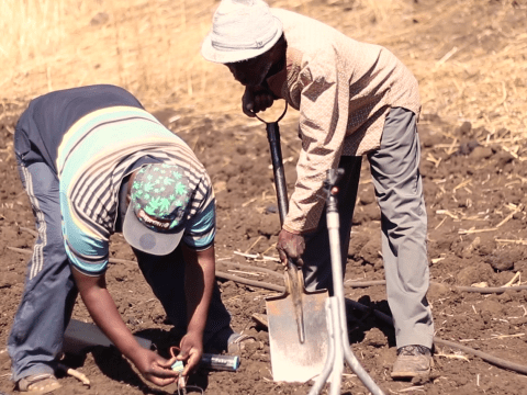 Lesotho | Field Office | World Vision International