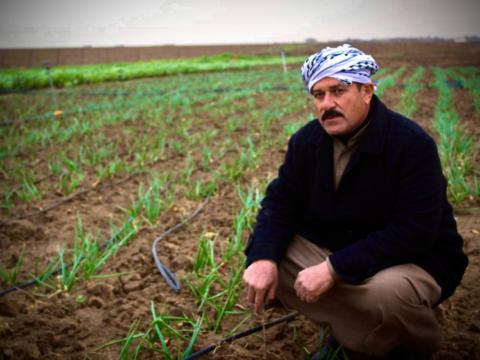 Iraq | Field Office | World Vision International