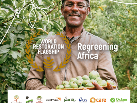EU funded Regreening Africa Awarded UN World Restoration Flagship ...
