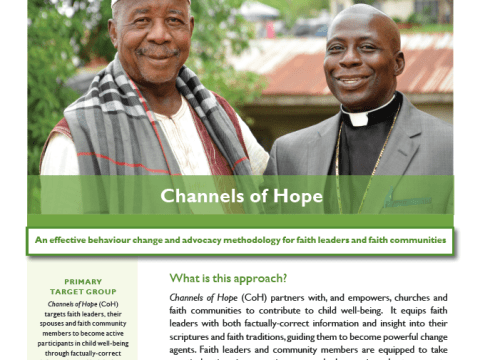 Empowered Worldview Project Model | publication | World Vision ...