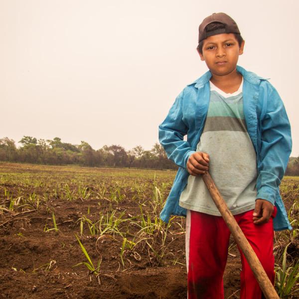 Lessons learned from 10 years of changing a child labour law | View ...