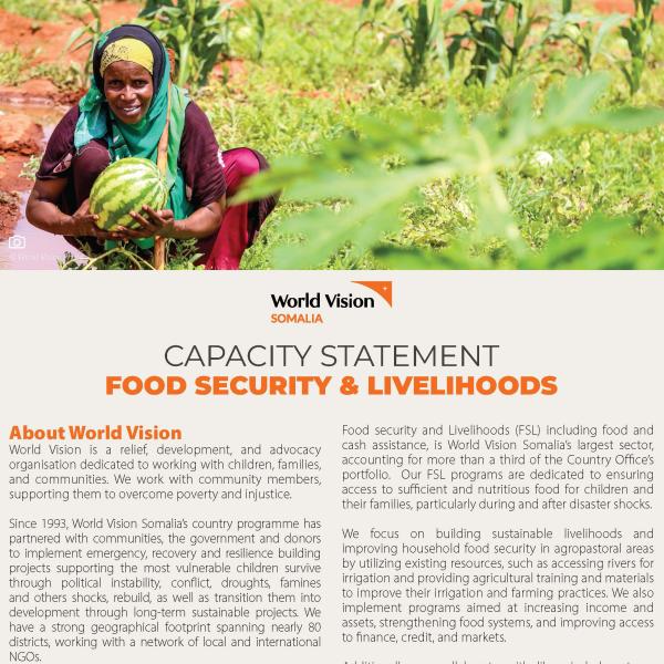 Food Security and Livelihoods Capacity Statement | Somalia | World ...
