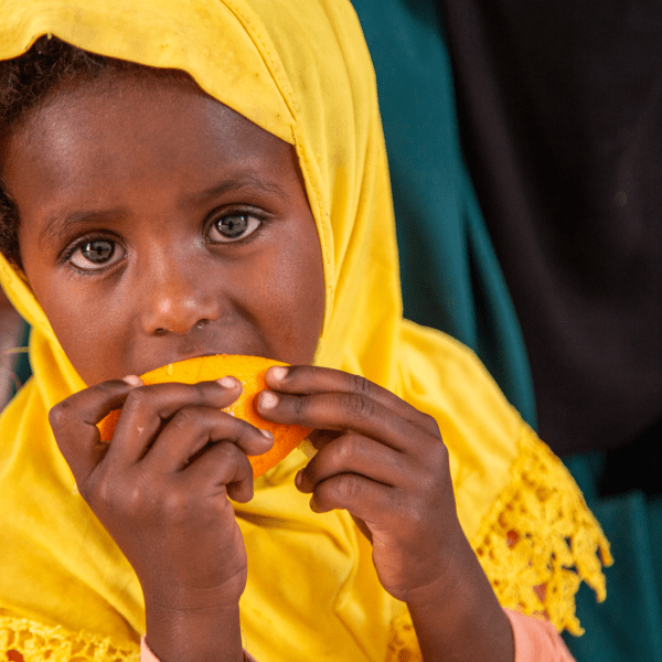 From Hunger to Hope: Turning Climate Actions into Food Security for a ...