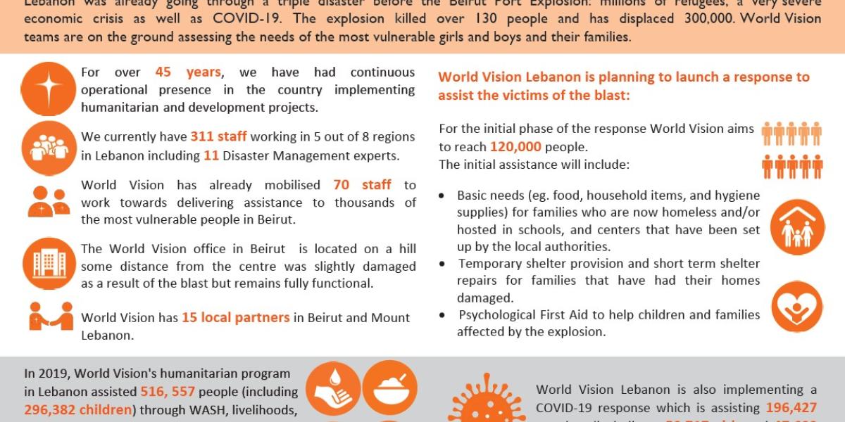 World Vision Lebanon Capacity Statement | Lebanon | World Vision ...