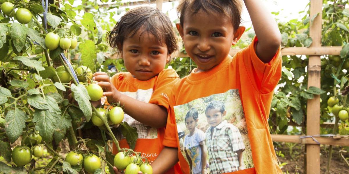 GENDER EQUALITY AND CHILD PROTECTION CAPACITY STATEMENT | Timor–Leste ...