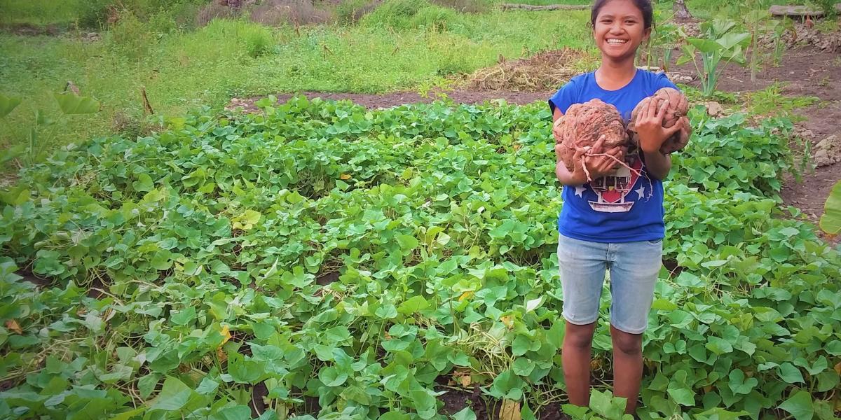 Agriculture, Nutrition and Market Development Capacity Statement ...