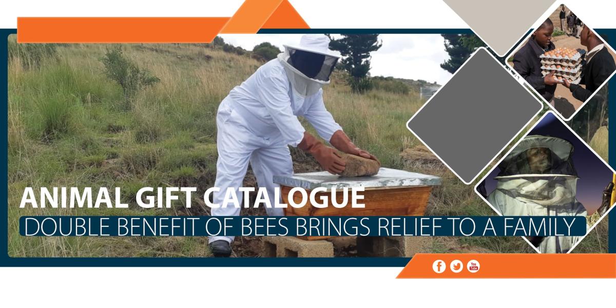 Double benefits of bees brings relief to a family | Animal Gift ...