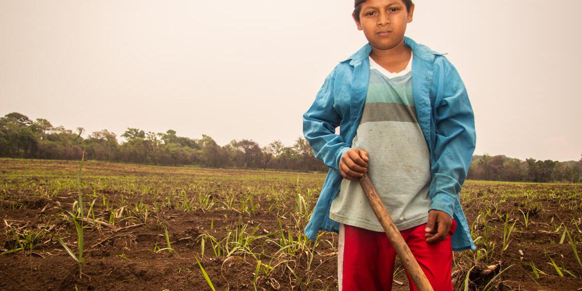 Lessons learned from 10 years of changing a child labour law | View ...