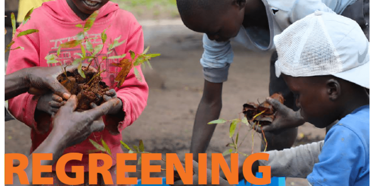 Regreening Communities in Yumbe District, Uganda | Progress Brief 2021 ...