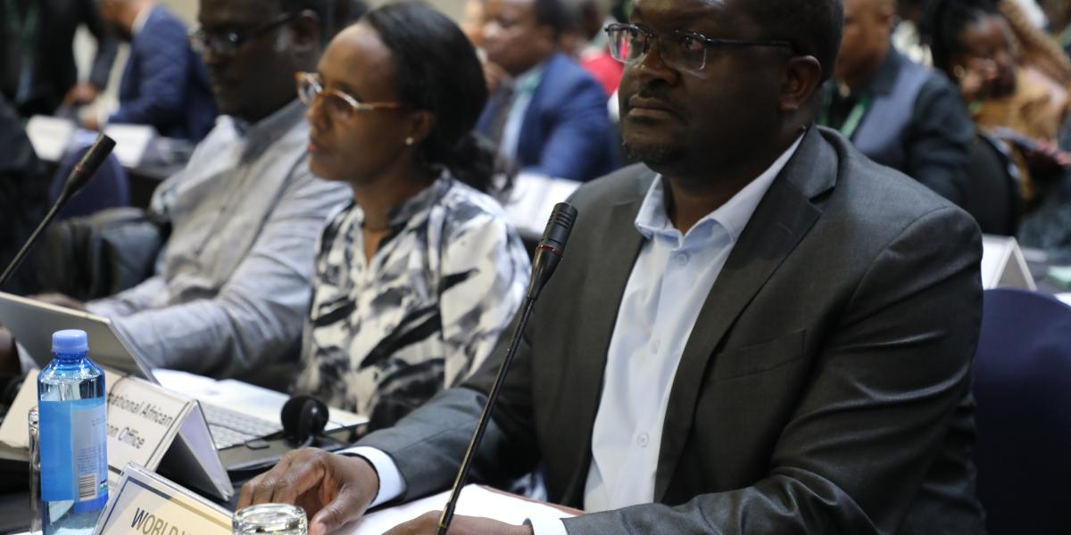 World Vision Statement at the 45th Ordinary Session of The African ...