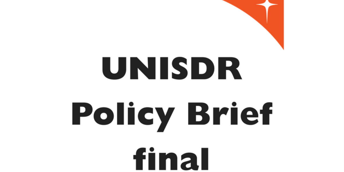 UNISDR Policy Brief-FINAL | Americas | World Vision International