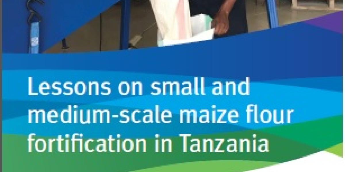Lessons on small and medium-scale maize flour fortification in Tanzania ...