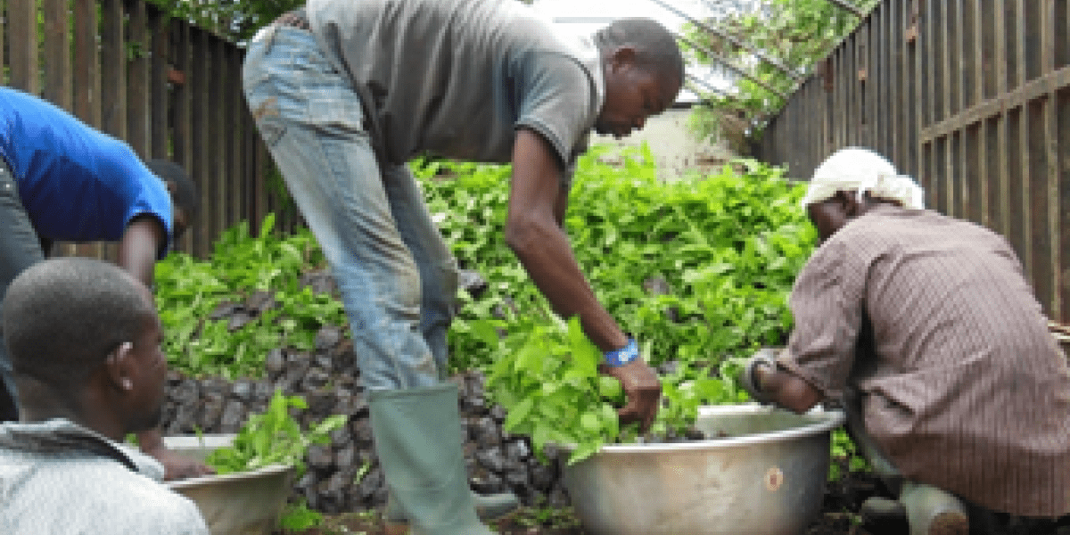 Cocoa Life Project Readable E-version Fact Sheet | Ghana | World Vision ...